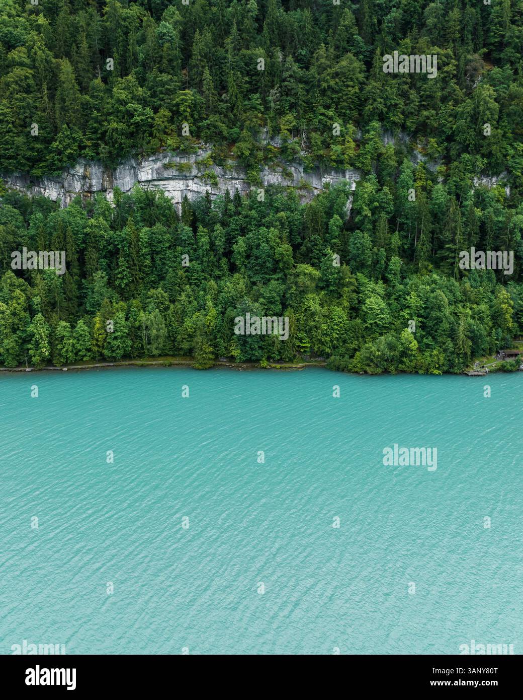Aerial view of green trees along the Brienzersee Lake coastline, Bern ...