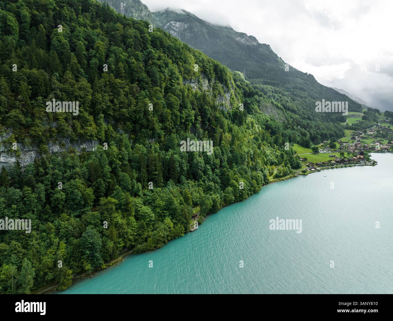 Aerial view of green trees along the Brienzersee Lake coastline, Bern ...