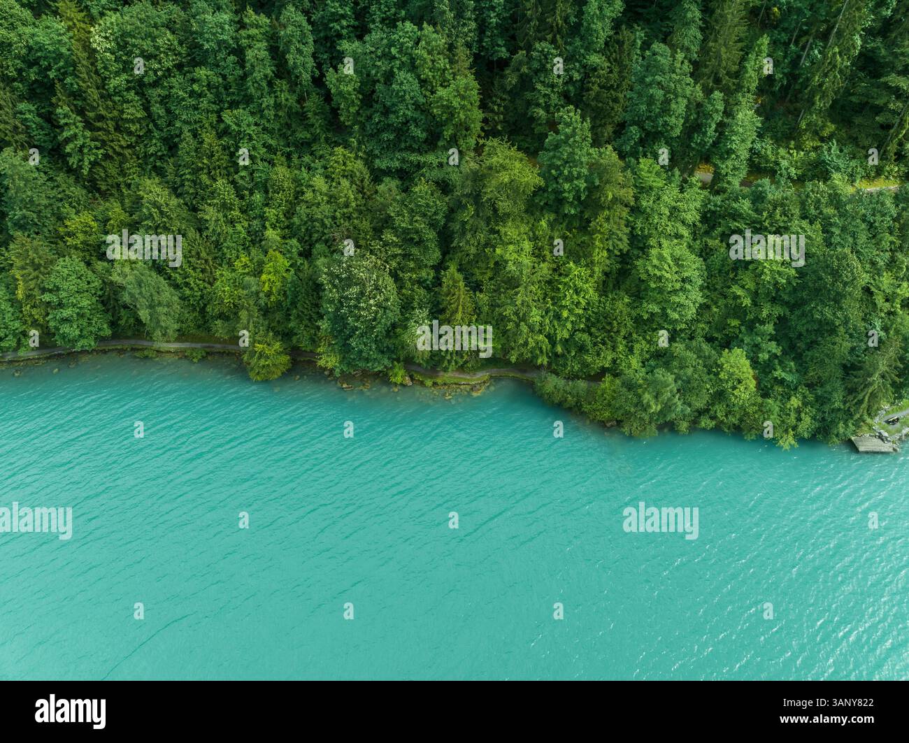 Aerial view of green trees along the Brienzersee Lake coastline, Bern ...