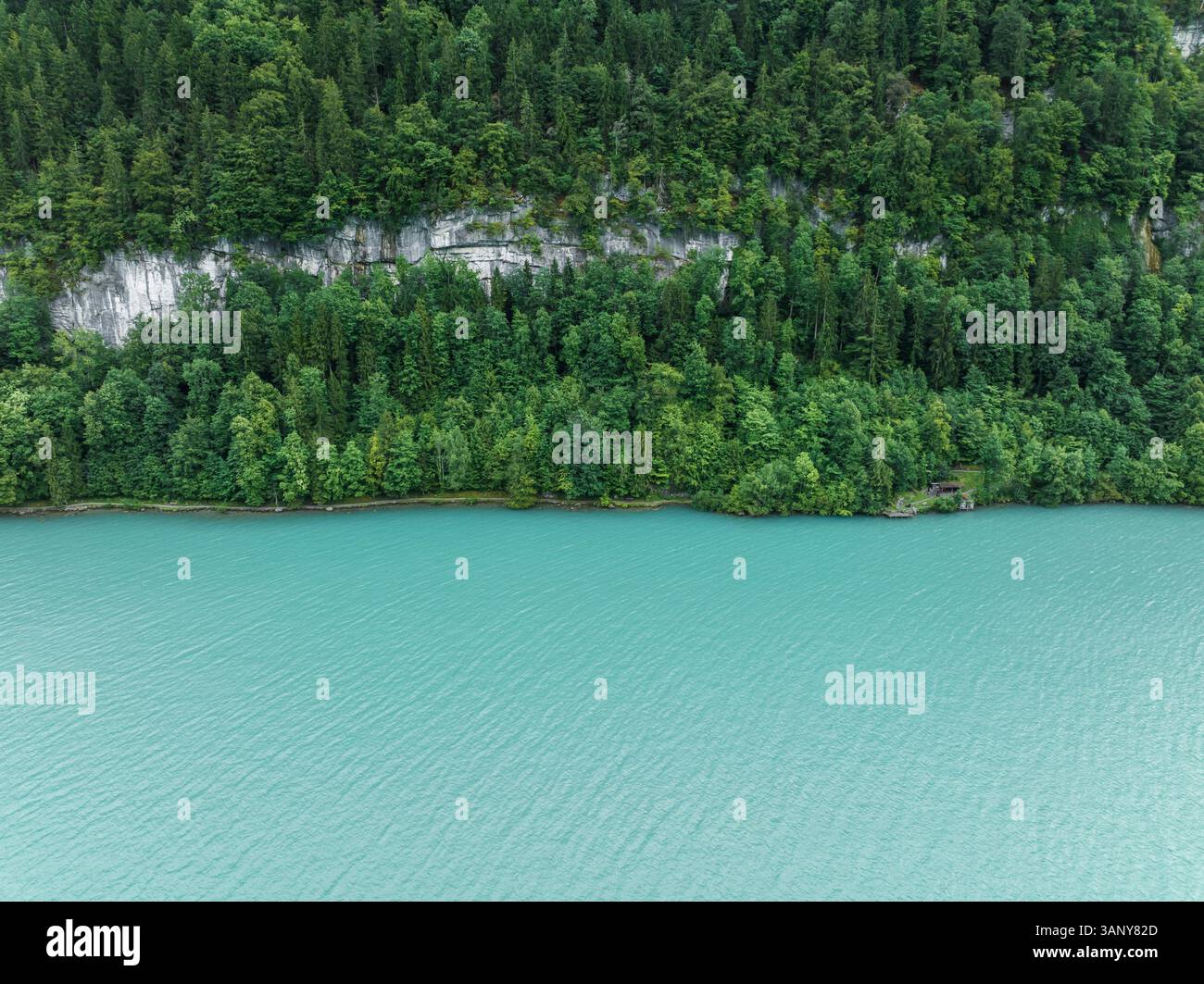 Aerial view of green trees along the Brienzersee Lake coastline, Bern ...