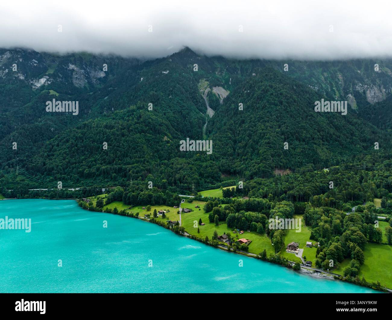 Aerial view of Brienzersee Lake in summertime during a rainy day with ...
