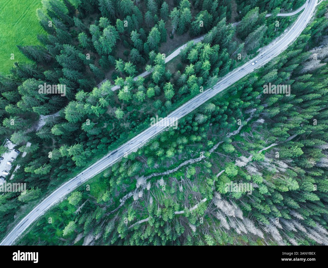Aerial view of a mountain road crossing the forest with trees across ...