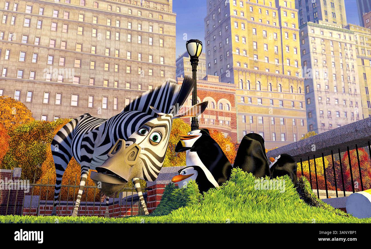 Madagascar central park zoo marty the zebra hi-res stock photography ...