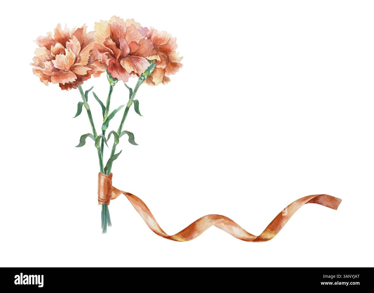 Red carnations, bouquet tied with red ribbon. Hand drawn watercolor ...