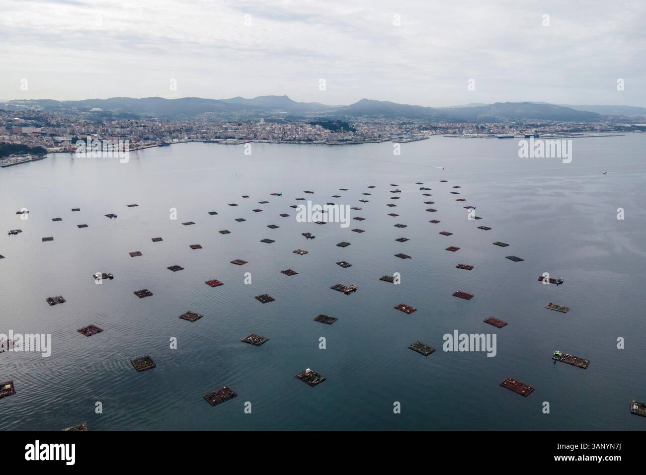 Aerial view of fishing platform for fishing cultures off Moana ...