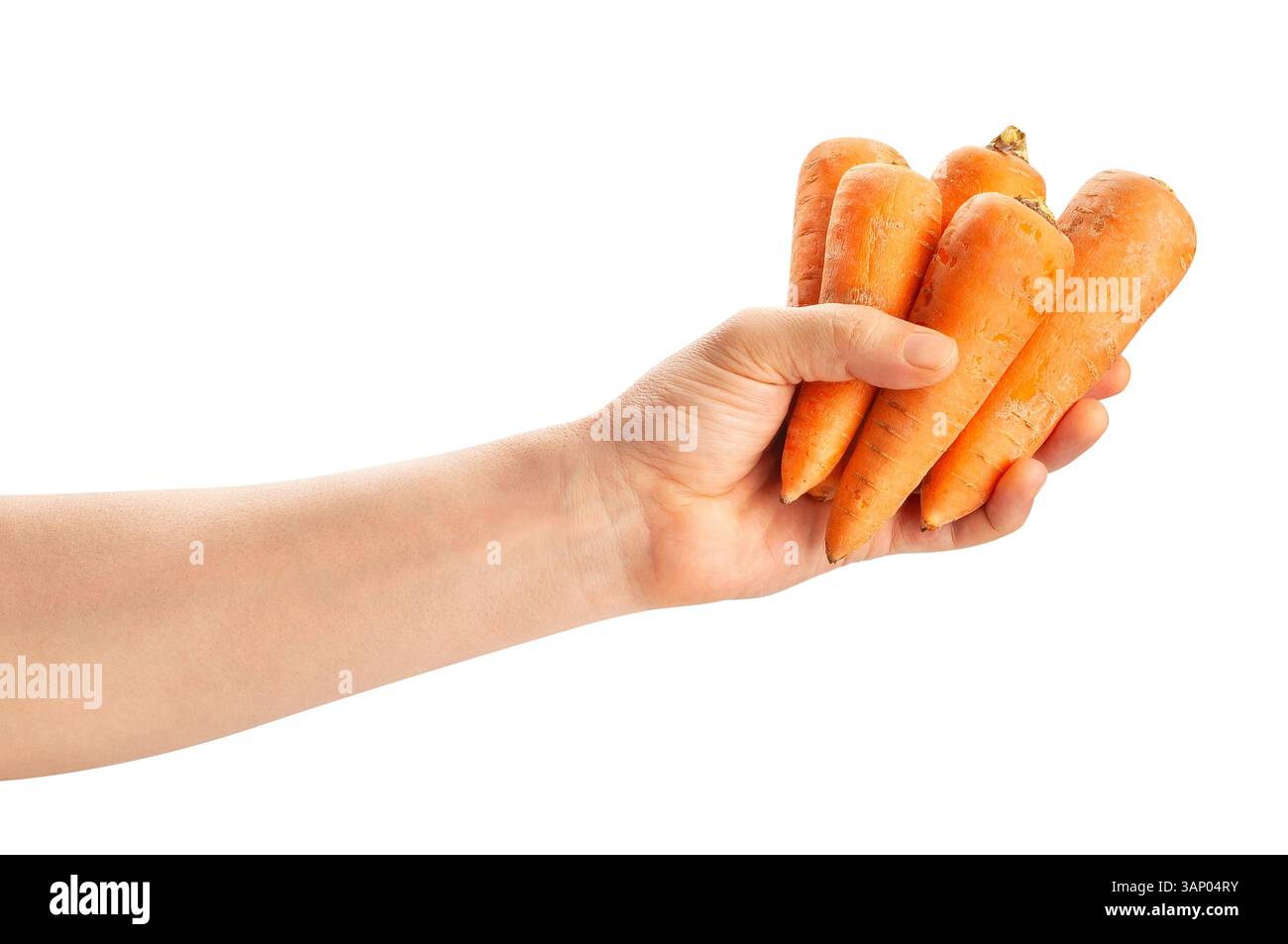 carrots in hand path isolated on white Stock Photo - Alamy