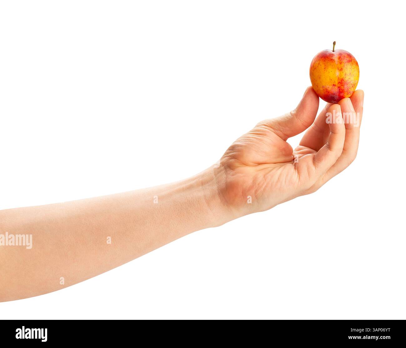 Hand holding fresh plum Cut Out Stock Images & Pictures - Alamy