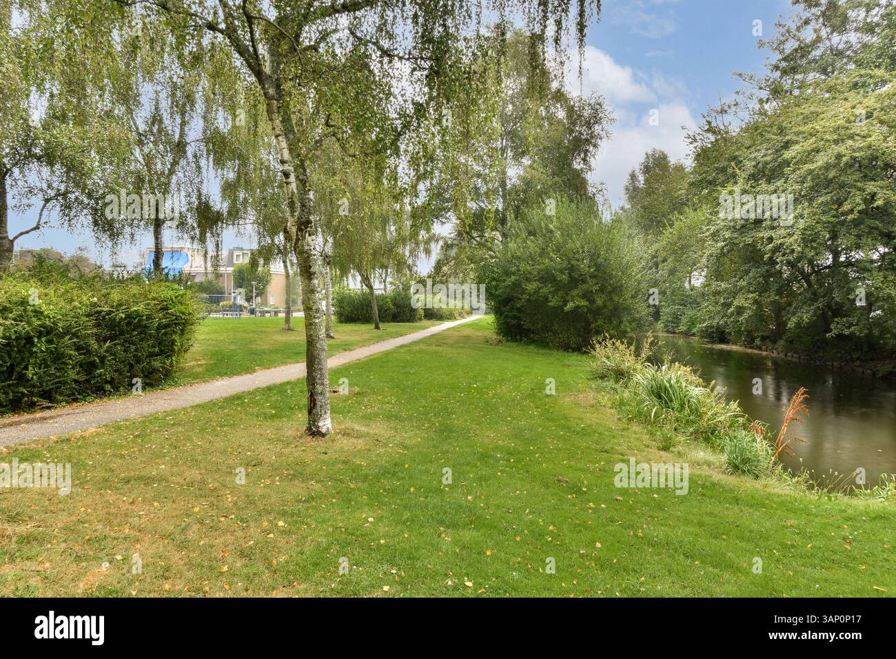 A picturesque view of a pathway winding through a lush green park ...
