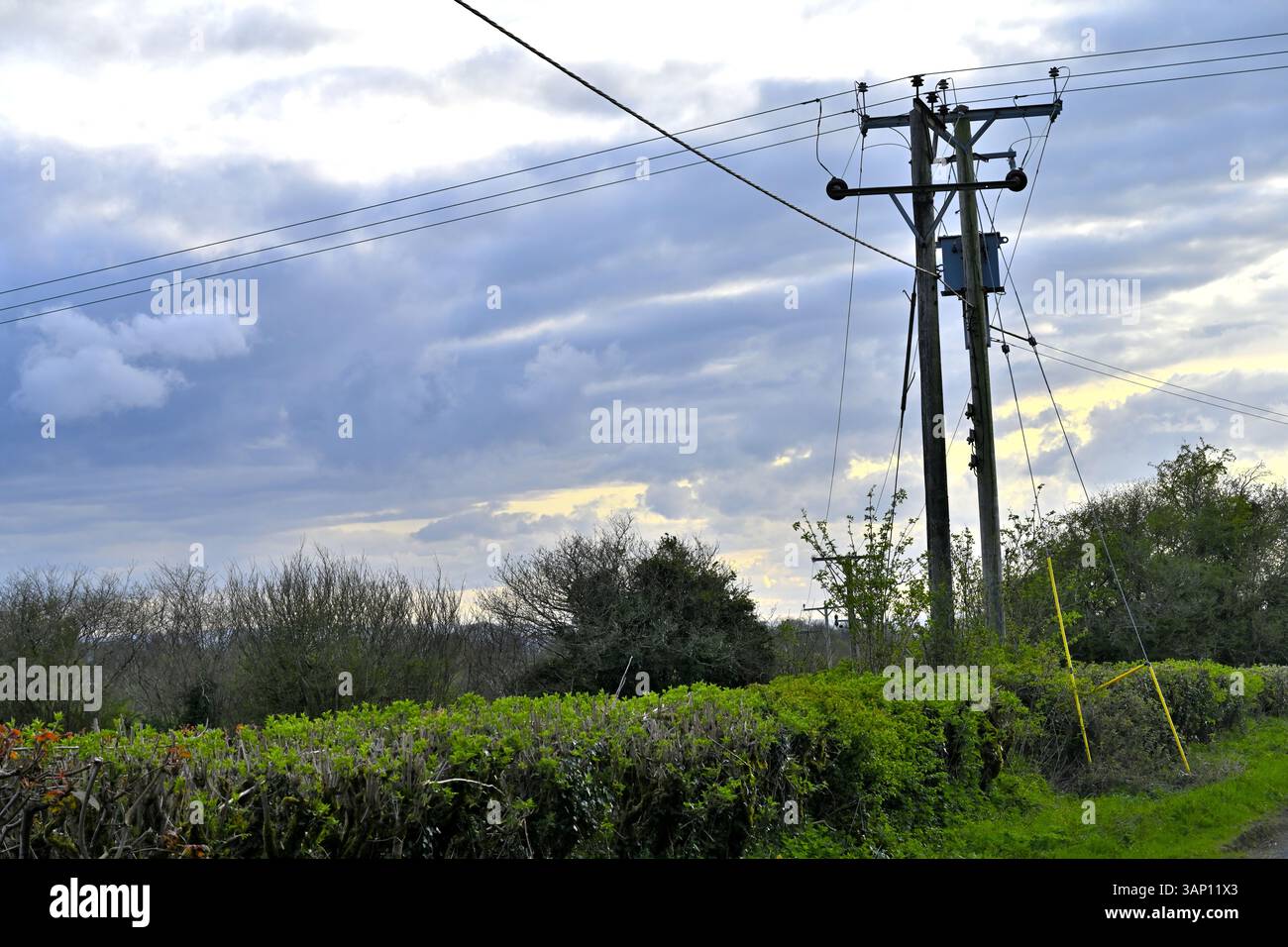 Rural electricity distribution poles with transformer, UK Stock Photo ...