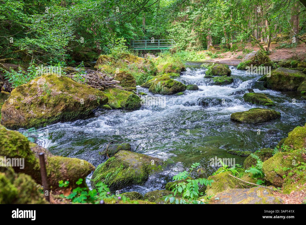 Fluss Trieb im Triebtal zwischen Talsperre Pöhl und Mündung in die ...