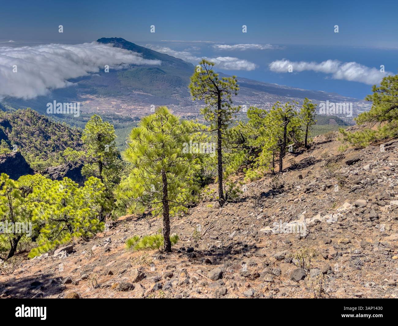 Trekking in Volcanic Landscape along Ruta de los Volcanes, beautiful ...