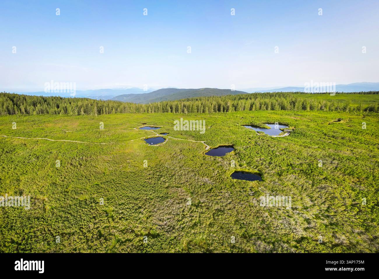 Aerial view of pristine Lovrenska jezera swamp and forest in a serene ...