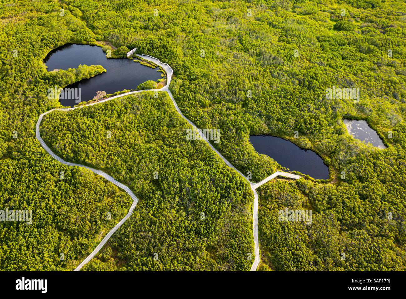 Aerial view of lovrenska jezera lake surrounded by lush greenery and a ...