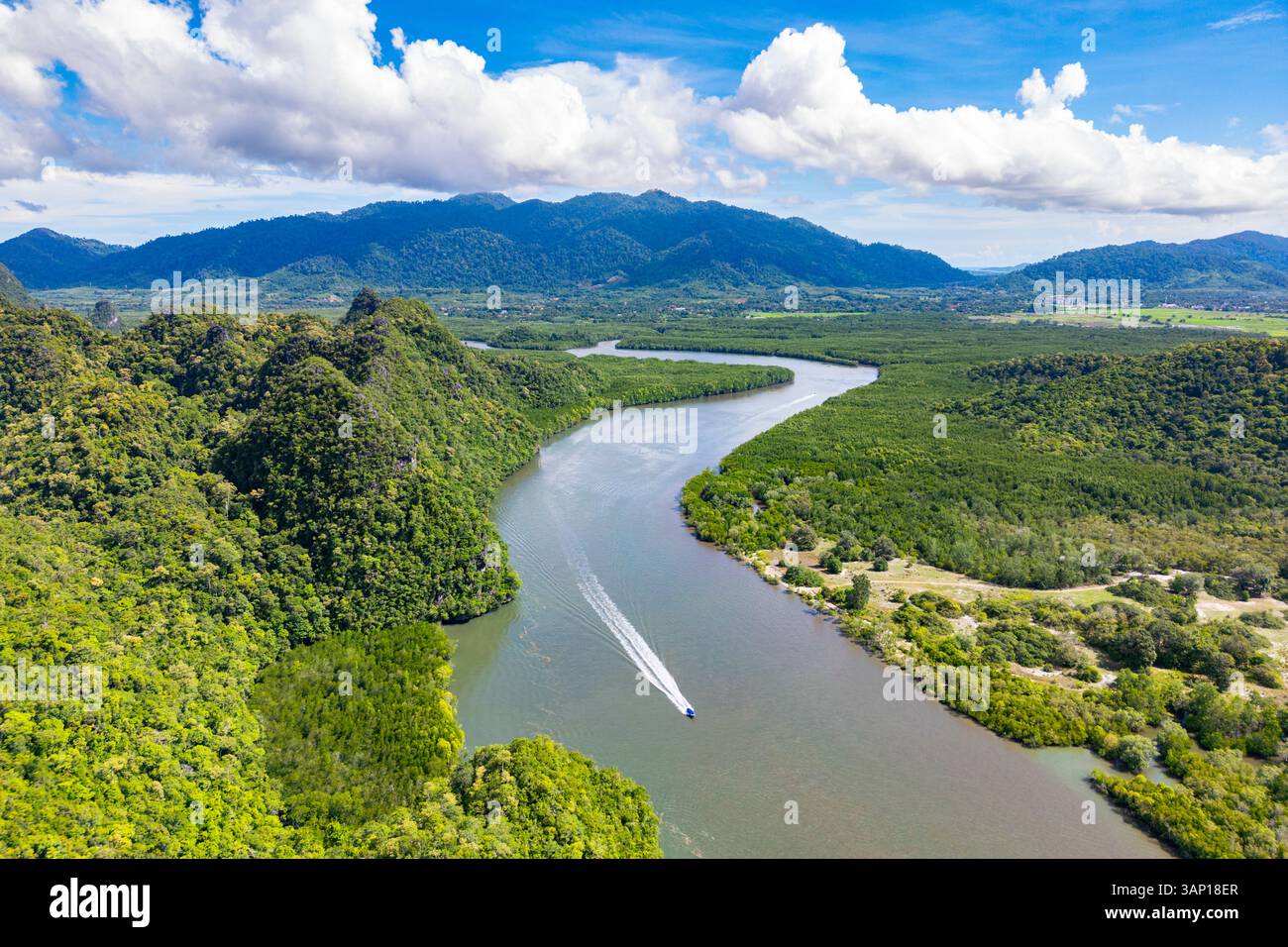 Aerial view of a serene river winding through lush mangroves and jungle ...