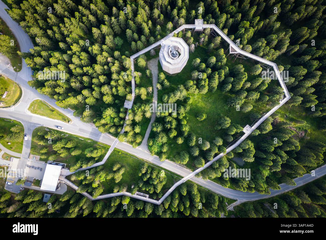 Aerial view of a serene hiking trail winding through a lush forest in ...