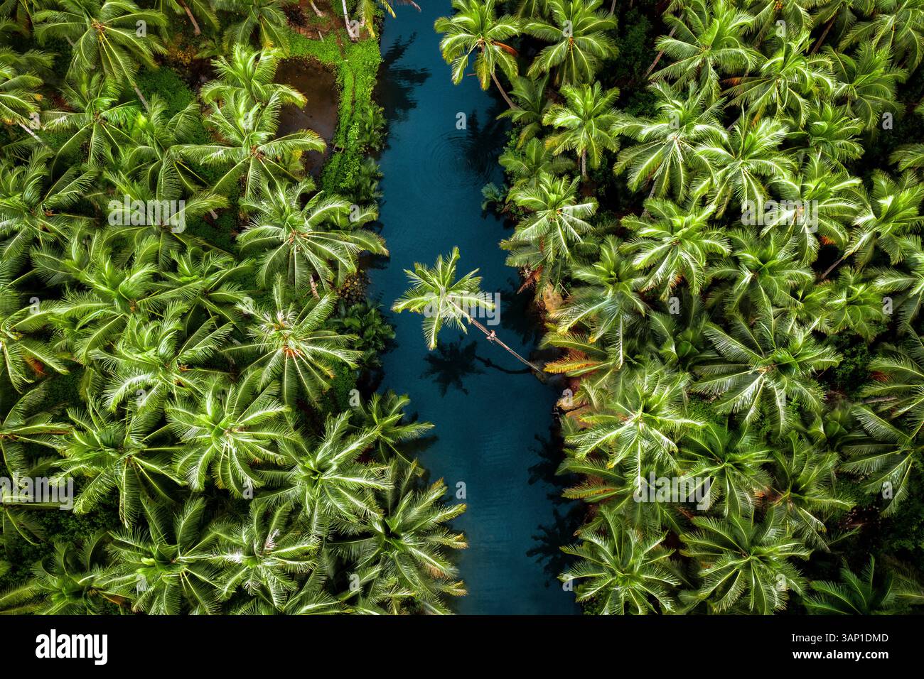 Aerial view of Maasin River, Dapa, Surigao del Norte, Philippines Stock ...