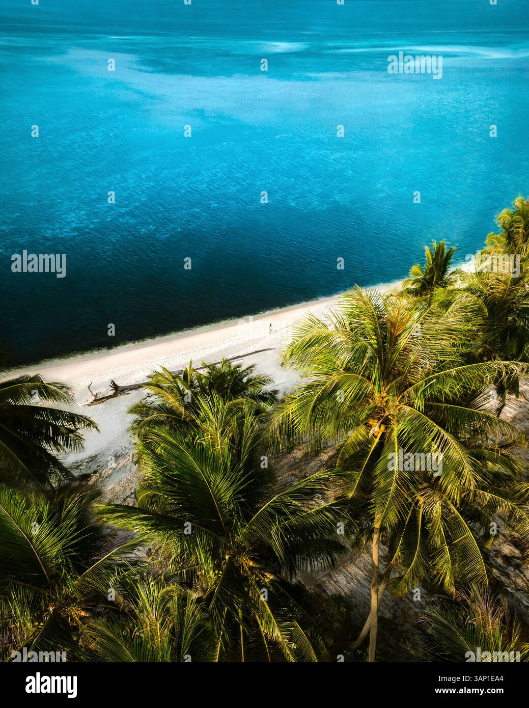 Aerial view of a woman walking on the beach at Balabac, Candaraman ...