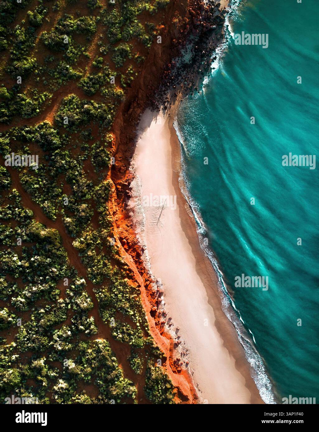 View of a person on Cape Peron beach, Shark Bay, Francois Peron ...