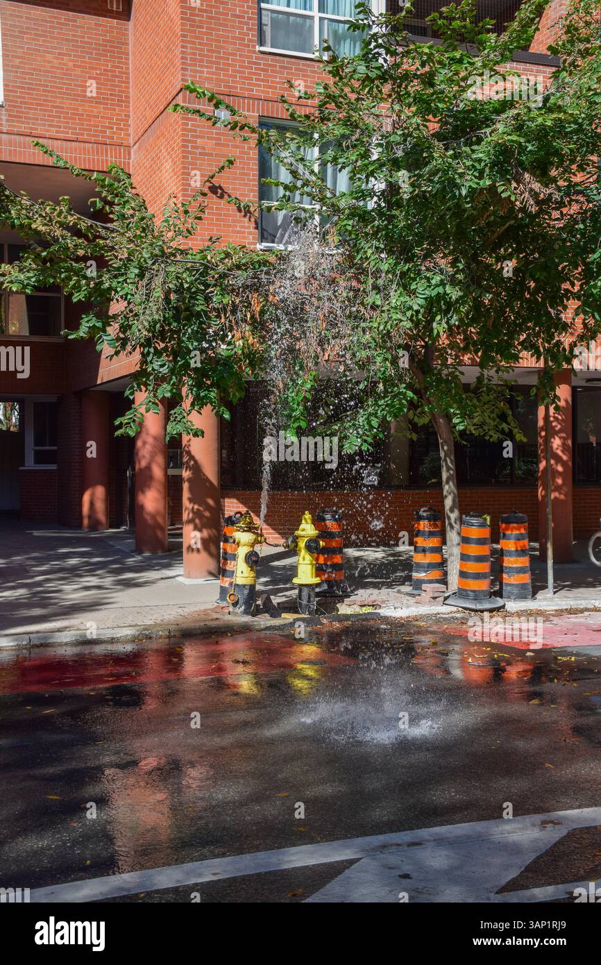 Fire hydrant water flushing through attachment on a street The ...