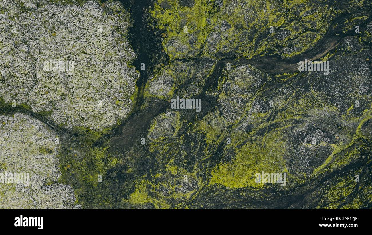 Aerial view of vibrant green moss covering rugged terrain, Hella ...