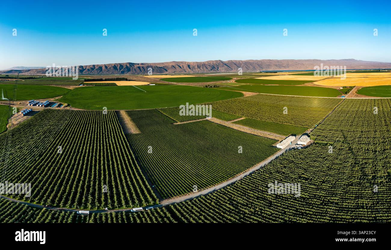 Aerial view of expansive vineyard rows and fields under a sunny sky ...