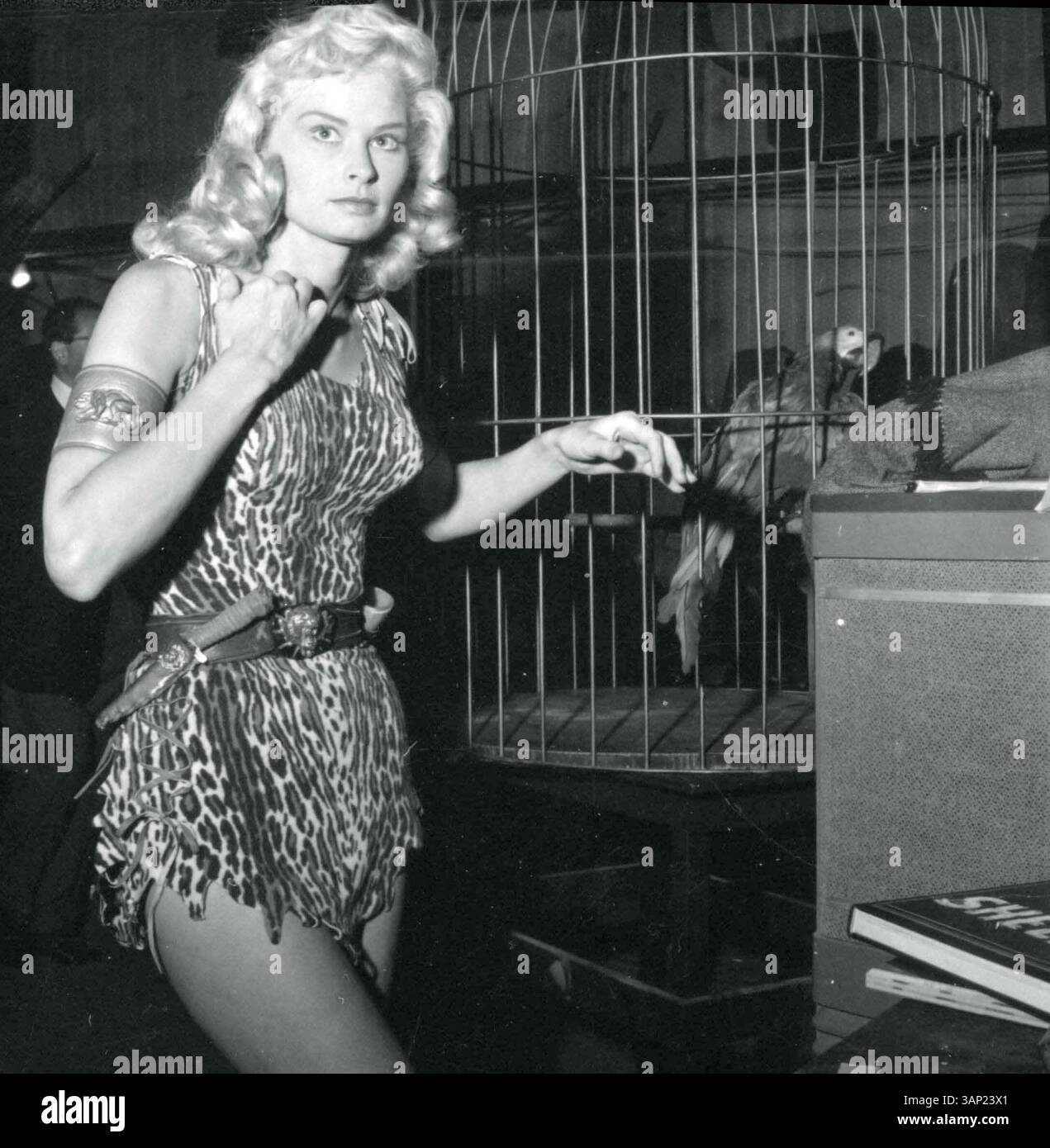 Irish mccalla hi-res stock photography and images - Alamy