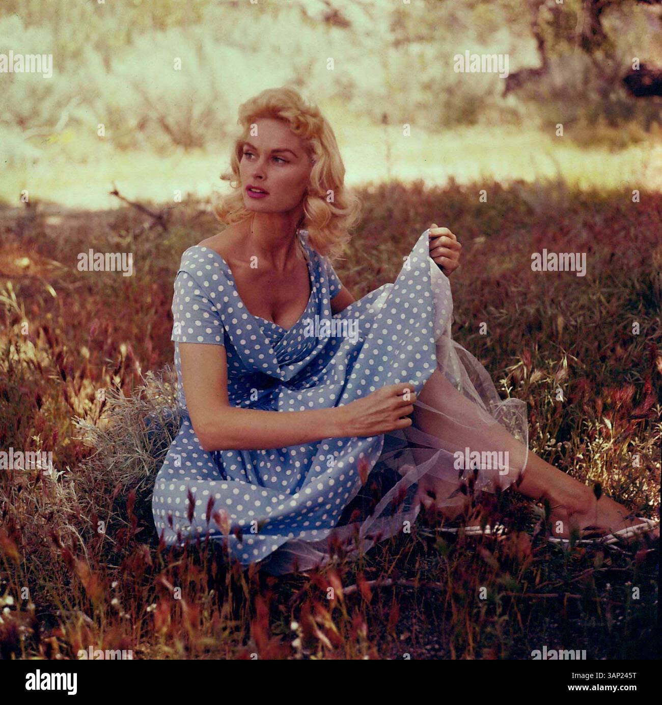 Irish mccalla hi-res stock photography and images - Alamy