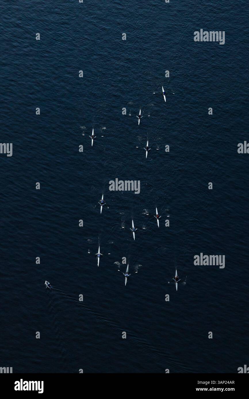 Aerial view of rowers practicing in synchronized formation on calm ...