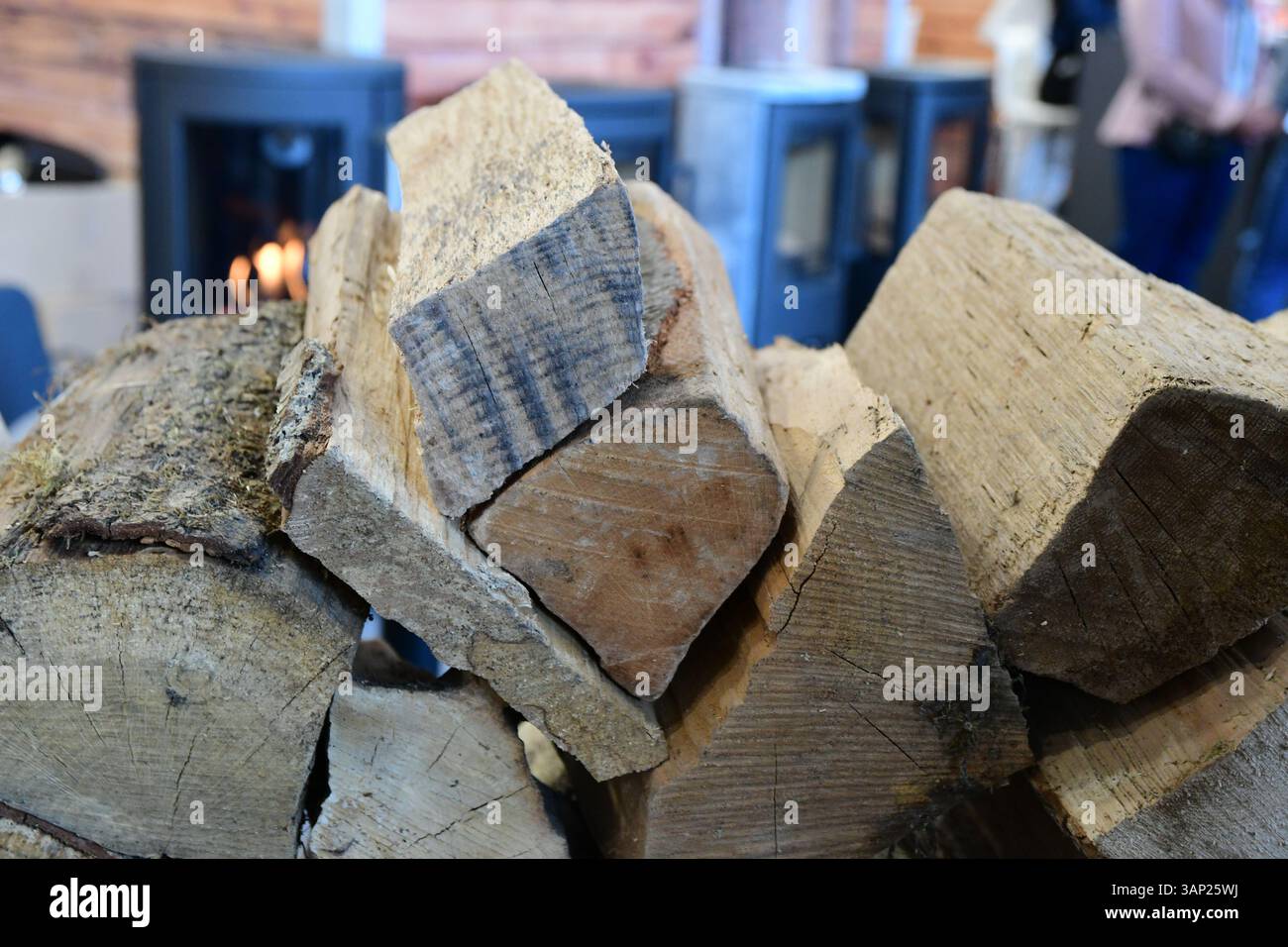 Logs seen at the Bepositive Energy Transition Show Stock Photo - Alamy