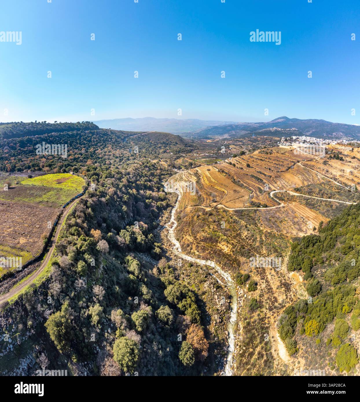 Aerial view of a river in thicket landscape, Golan Heights, Israel ...