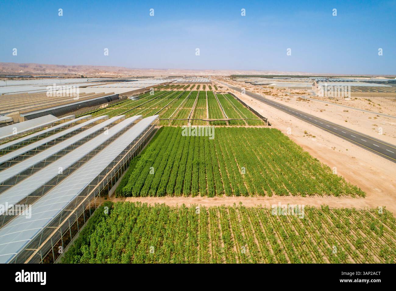 Aerial view of green fields and greenhouse in the desert, Paran, Negev ...