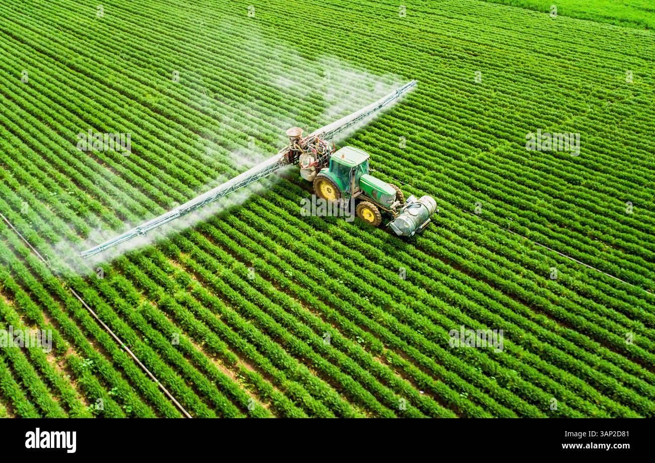Aerial View of sprinkler at work among the cultivated fields, Beit Alfa ...