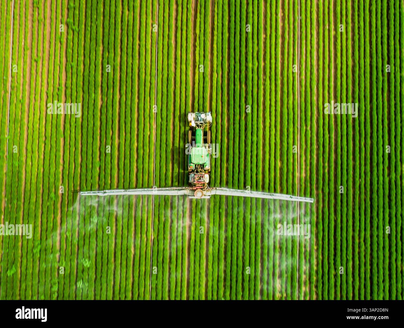 Aerial View of sprinkler at work among the cultivated fields, Beit Alfa ...