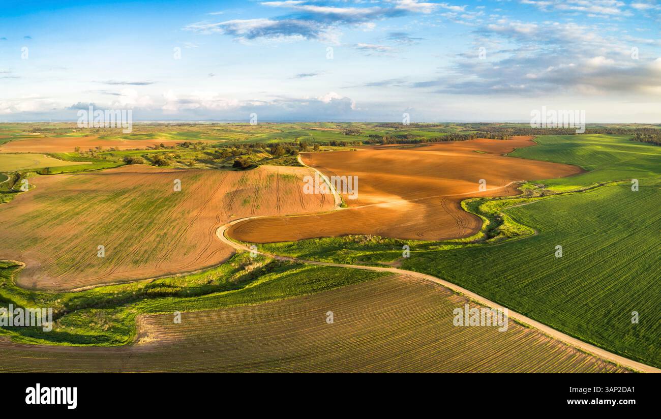 Aerial view of a road crossing an open field with green wheat field and ...