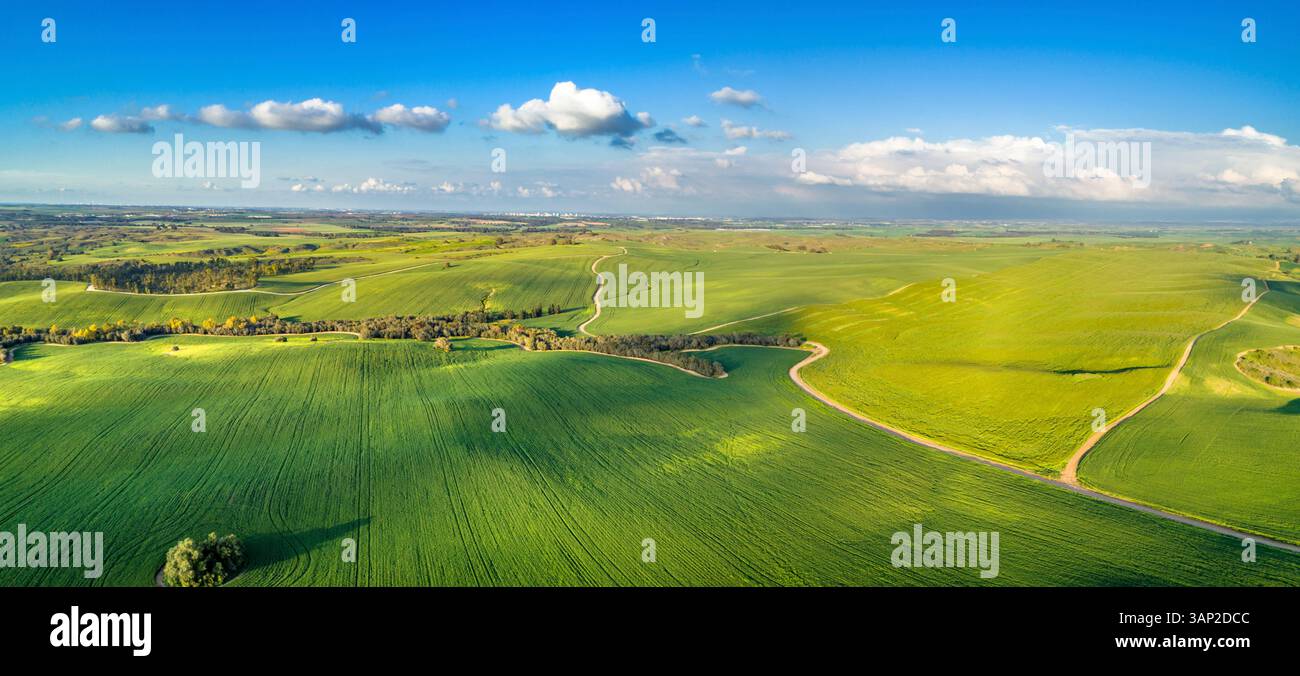 Panoramic aerial view of green grassland and wheat field, Ruhama ...