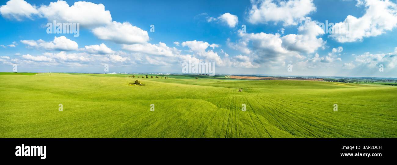 Panoramic aerial view of green grassland and wheat field, Ruhama ...