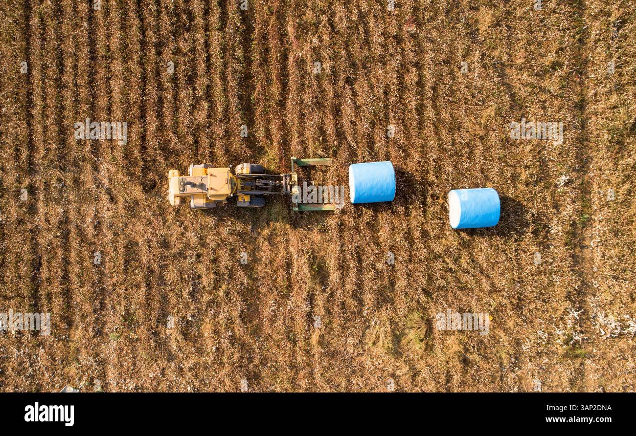Aerial view of a tractor in a field picking cotton, Kibbutz Saar, Mate ...