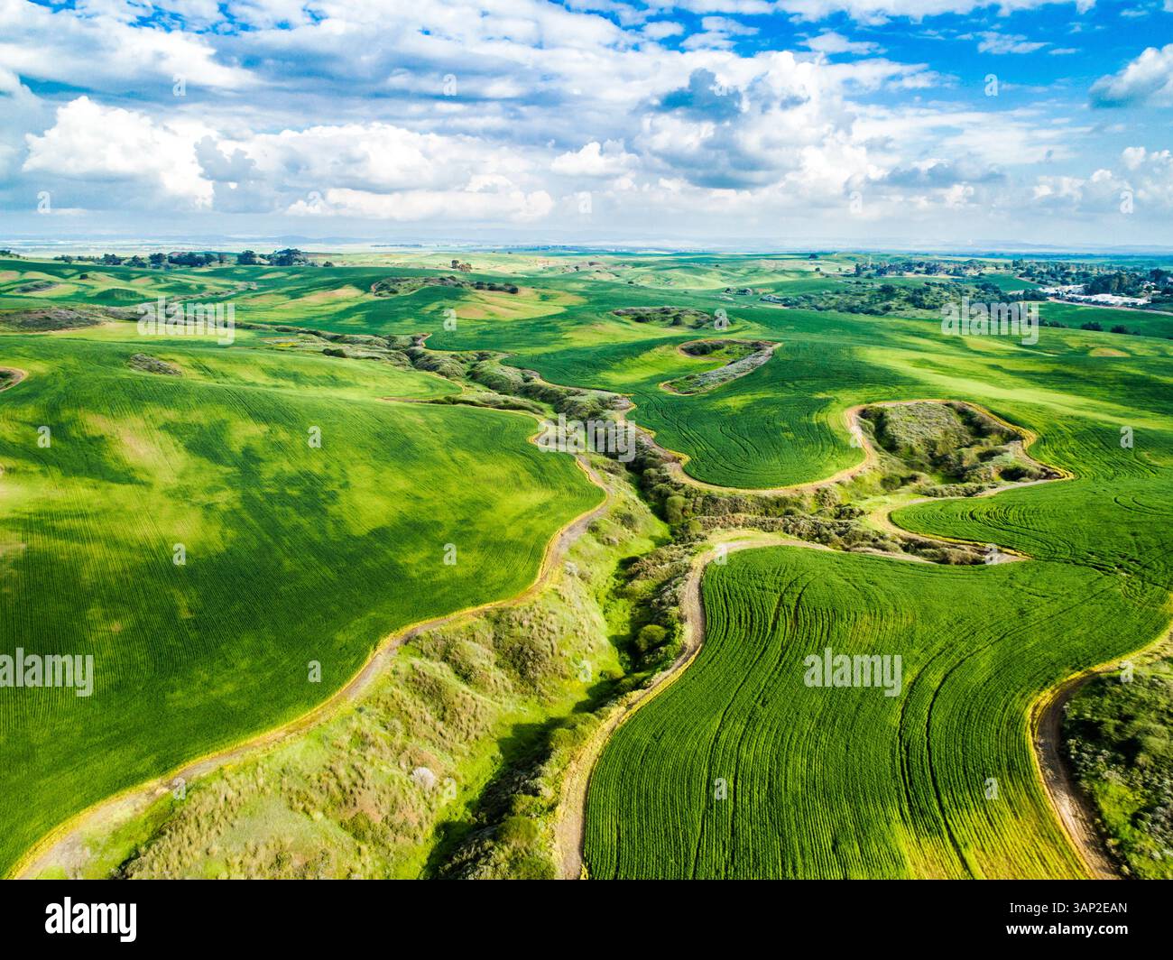 Aerial view of earth formation in countryside near Ruhama Badlands ...