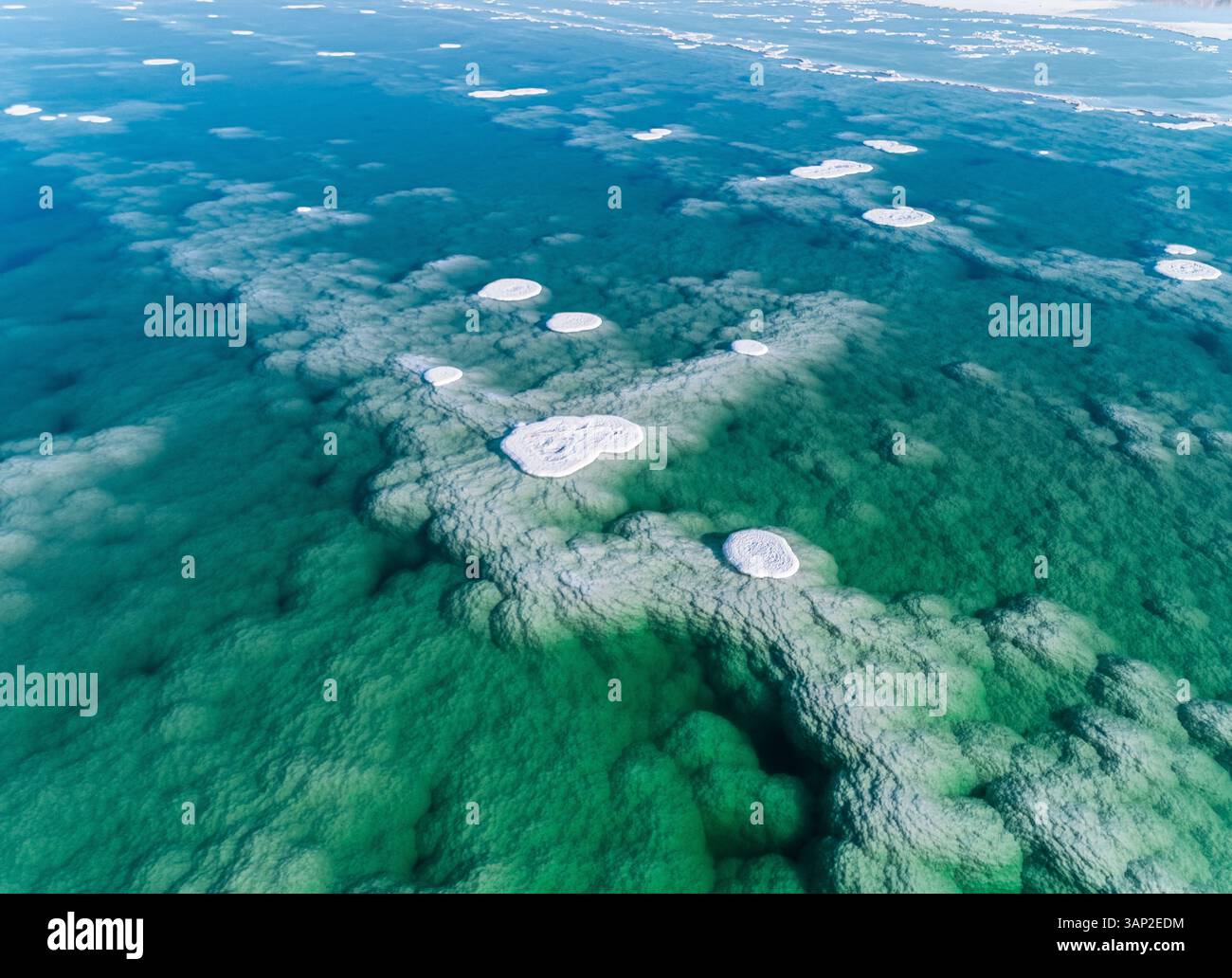 Aerial view of salt texture with veins in the shallow water of the Dead ...
