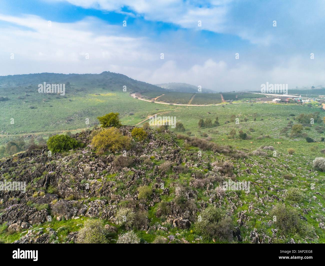 Aerial view of green grass countryside with Mediterranean forests in ...