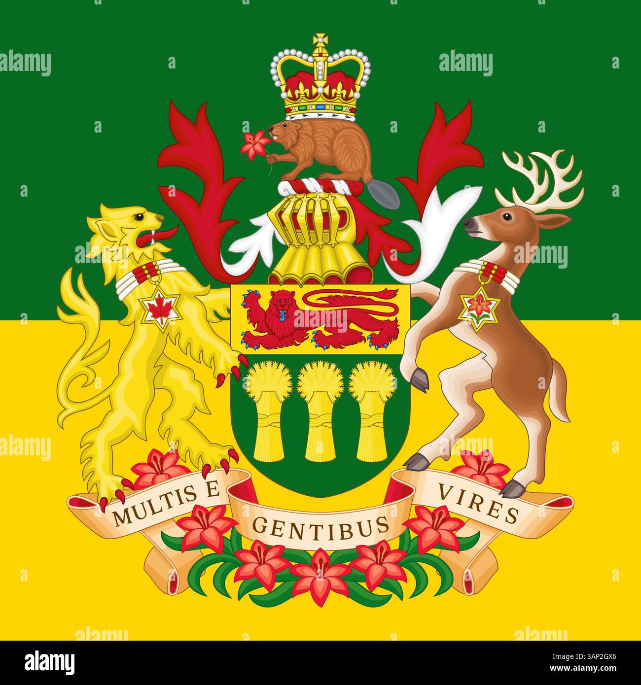 Saskatchewan provincial coat of arms on the flag flag, Canada, north ...