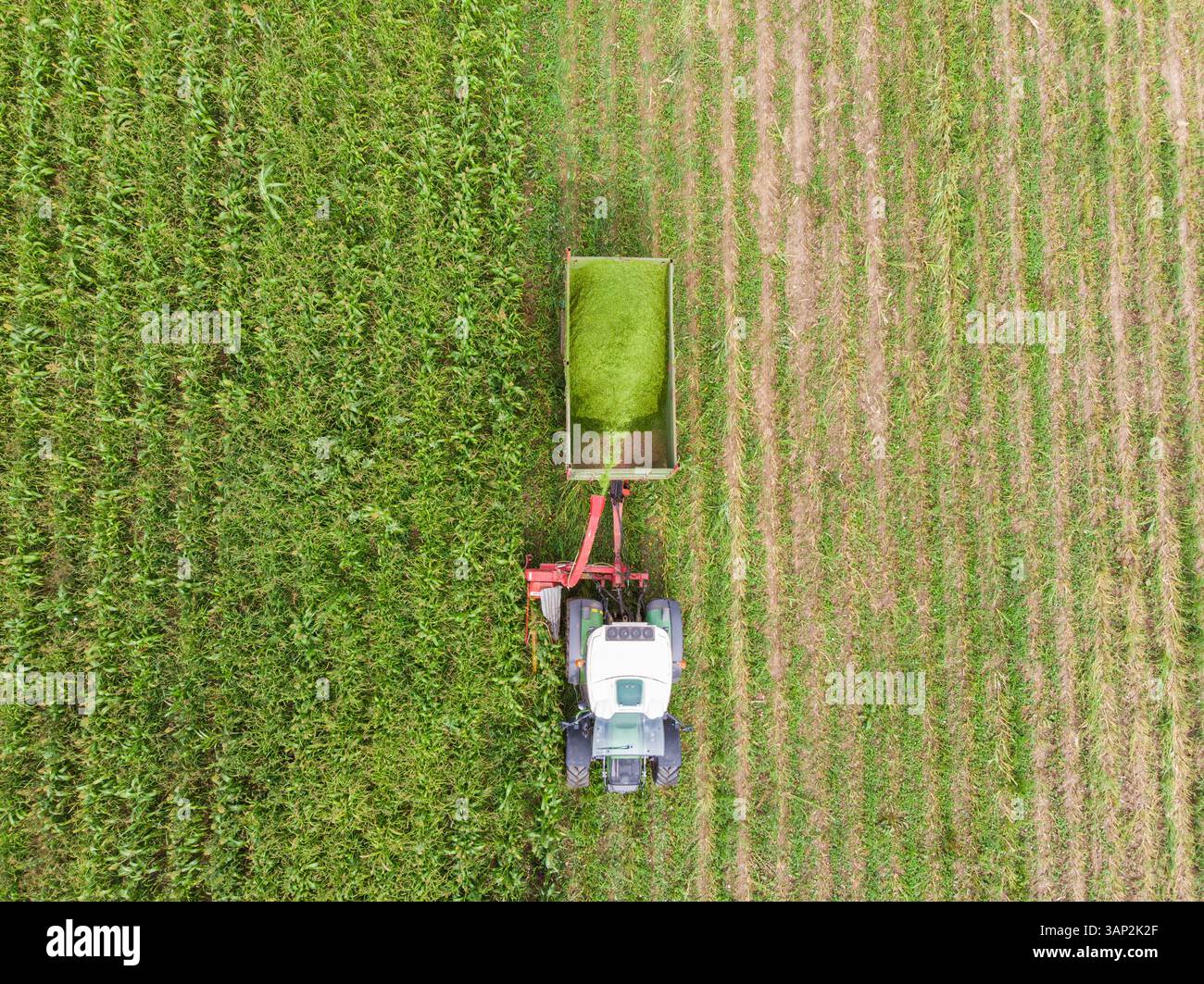 Aerial view of tractor harvesting and cutting field for hay Stock Photo ...