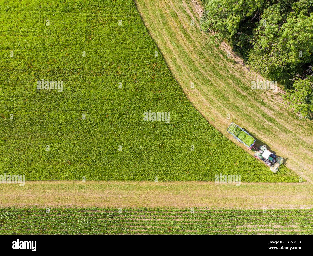 Aerial view of tractor harvesting and cutting field for hay Stock Photo ...