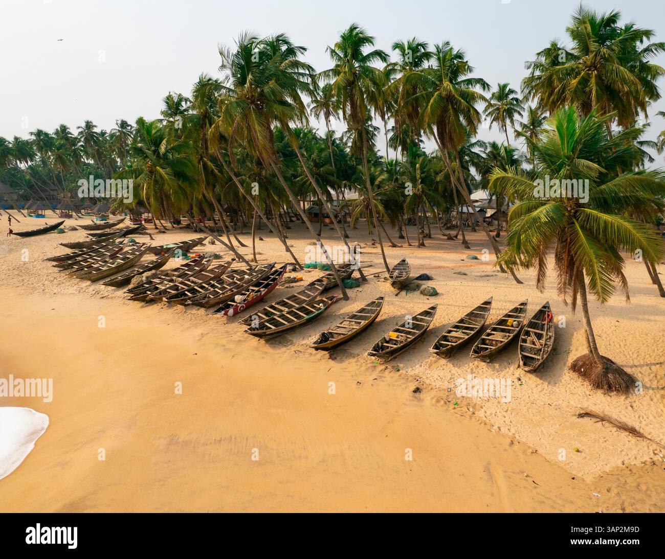 Lekki palm trees hi-res stock photography and images - Alamy