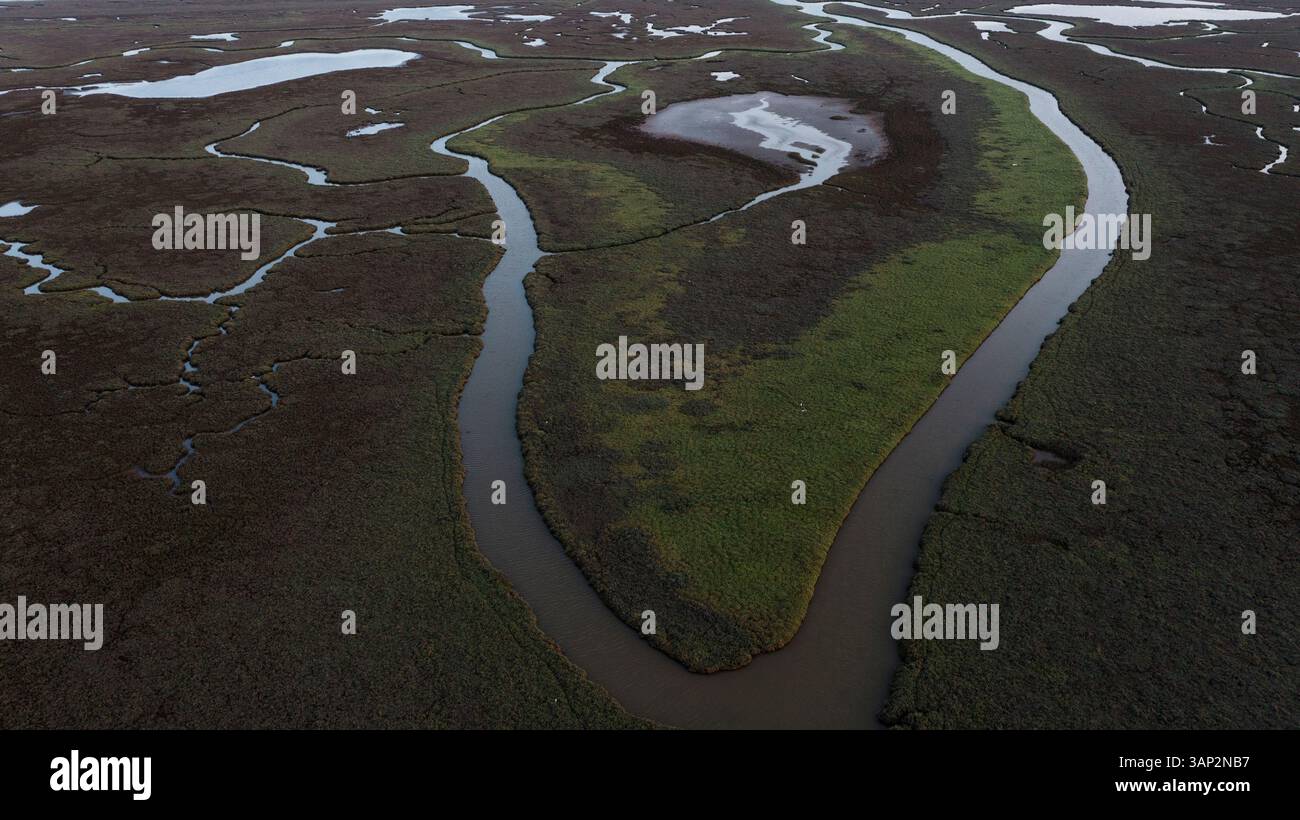 Aerial view of serene wetlands with a meandering river and lush green ...