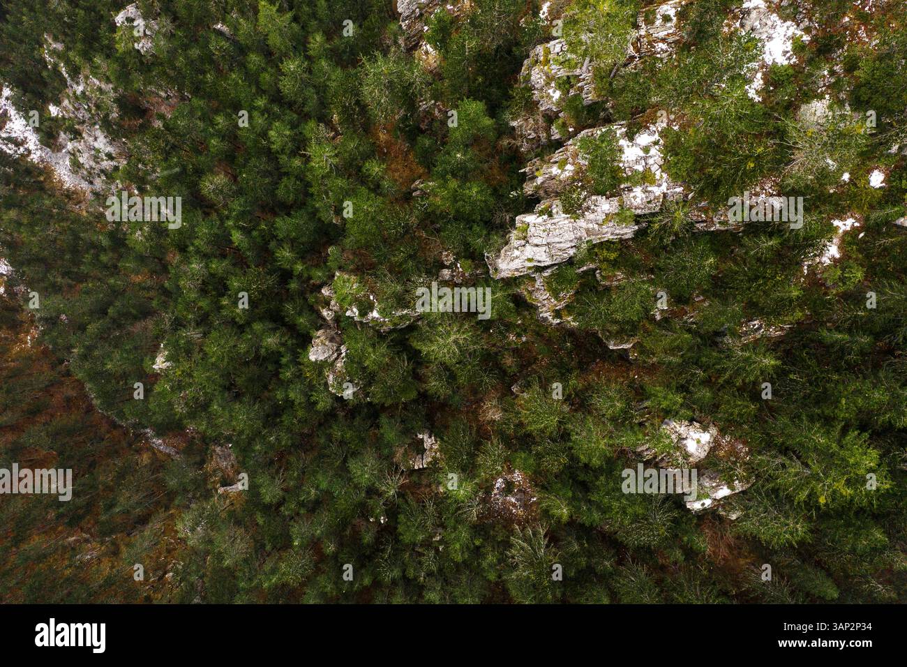 Aerial view of lush green forest and majestic rock formations on Mount ...