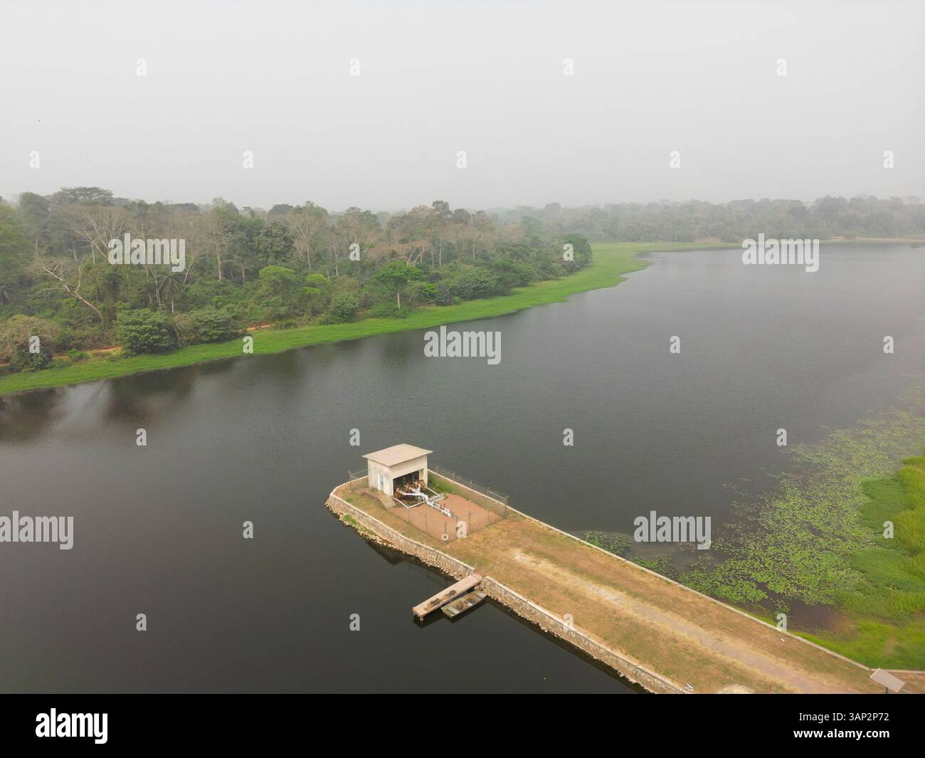 Aerial view of serene lake surrounded by lush forest and a dock ...