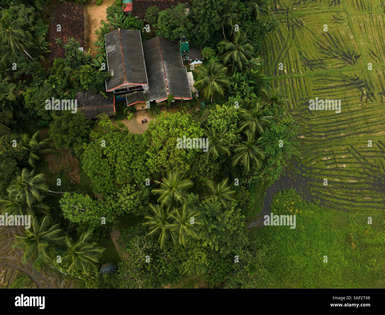 Aerial view of Hotel and fields close to Mathugama, Sri Lanka Stock ...