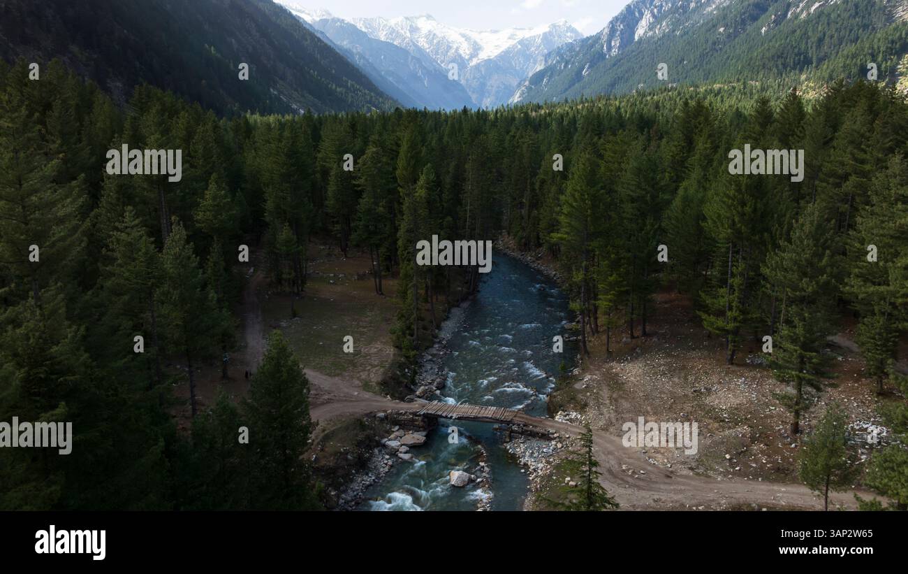 Aerial view of pine forest in Kumrat, KPK, Pakistan Hindu Kush ...