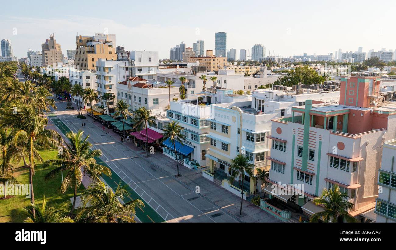 Aerial view of vibrant cityscape with modern skyscrapers and palm trees ...